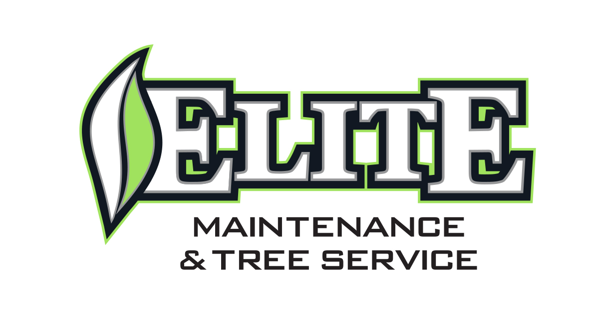 About - Elite Maintenance & Tree Service